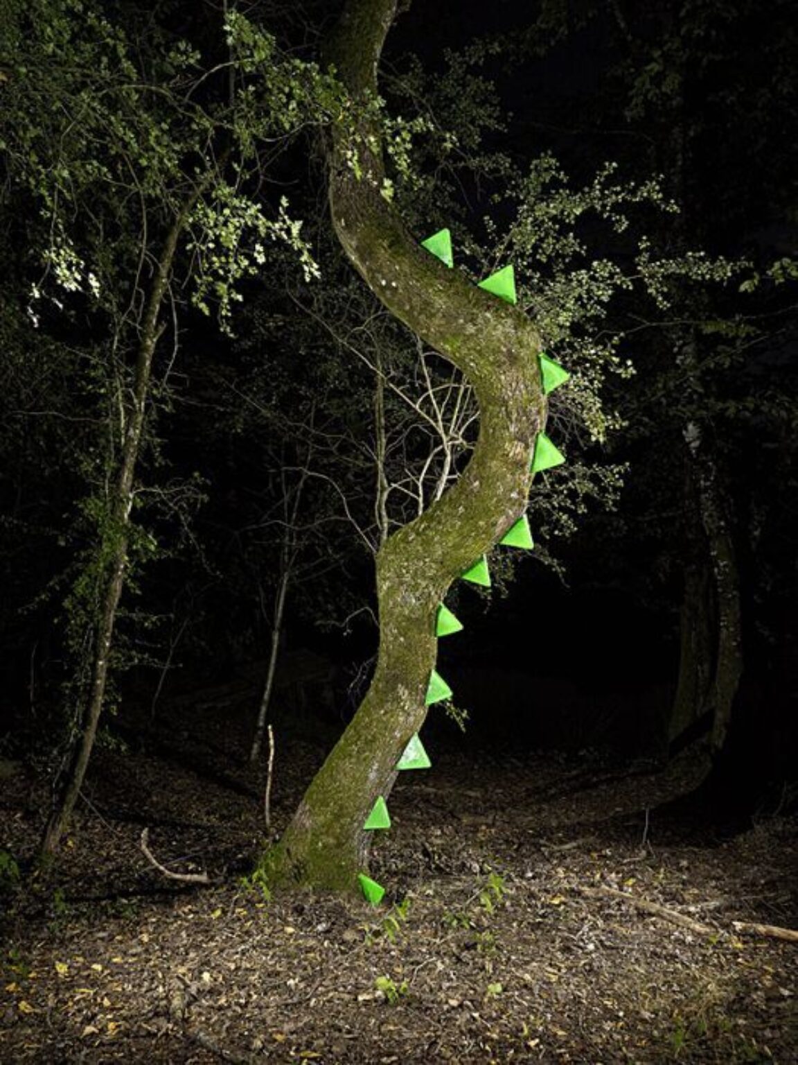 Ducks, Dragons and Birds | A. Aricò – Arch2O.com
