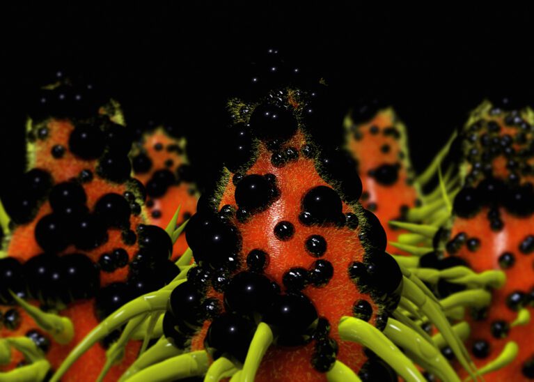 "Quasi-Objects" C studies | Lorenzo Oggiano - Arch2O.com