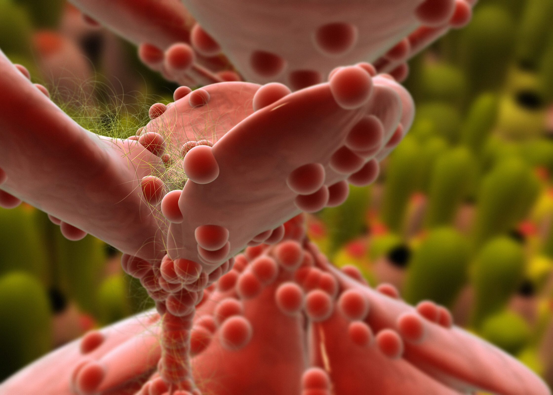 "Quasi-Objects" C studies | Lorenzo Oggiano - Arch2O.com