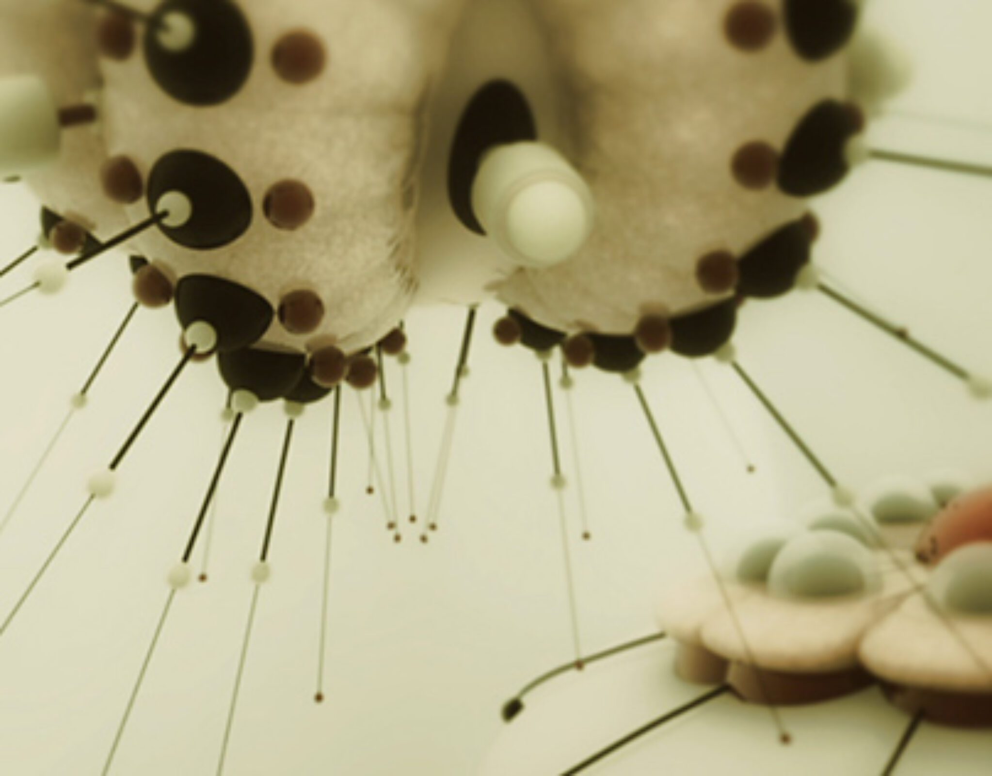 "Quasi-Objects" C studies | Lorenzo Oggiano - Arch2O.com