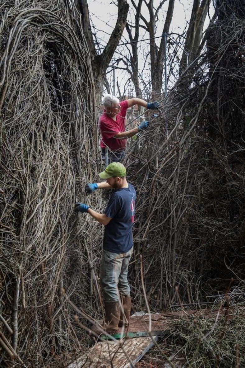 Stickworks | Patrick Dougherty - Arch2O.com