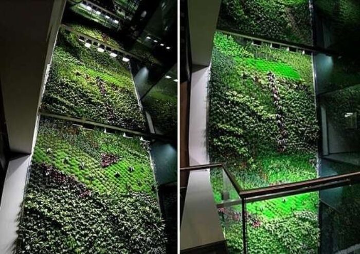 Active Phytoremediation Wall System | SOM + Rensselaer Polytechnic ...