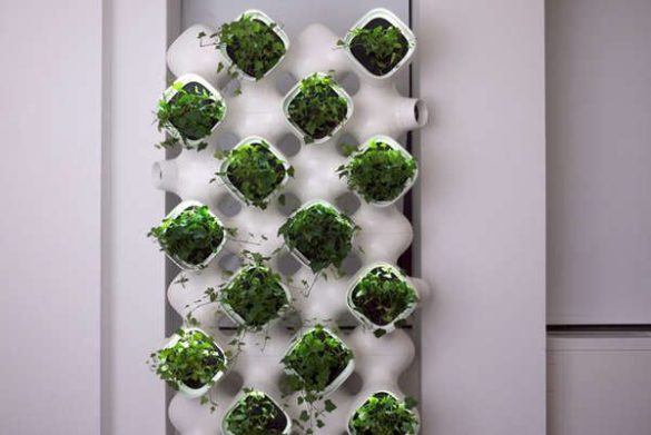 Active Phytoremediation Wall System | SOM + Rensselaer Polytechnic ...