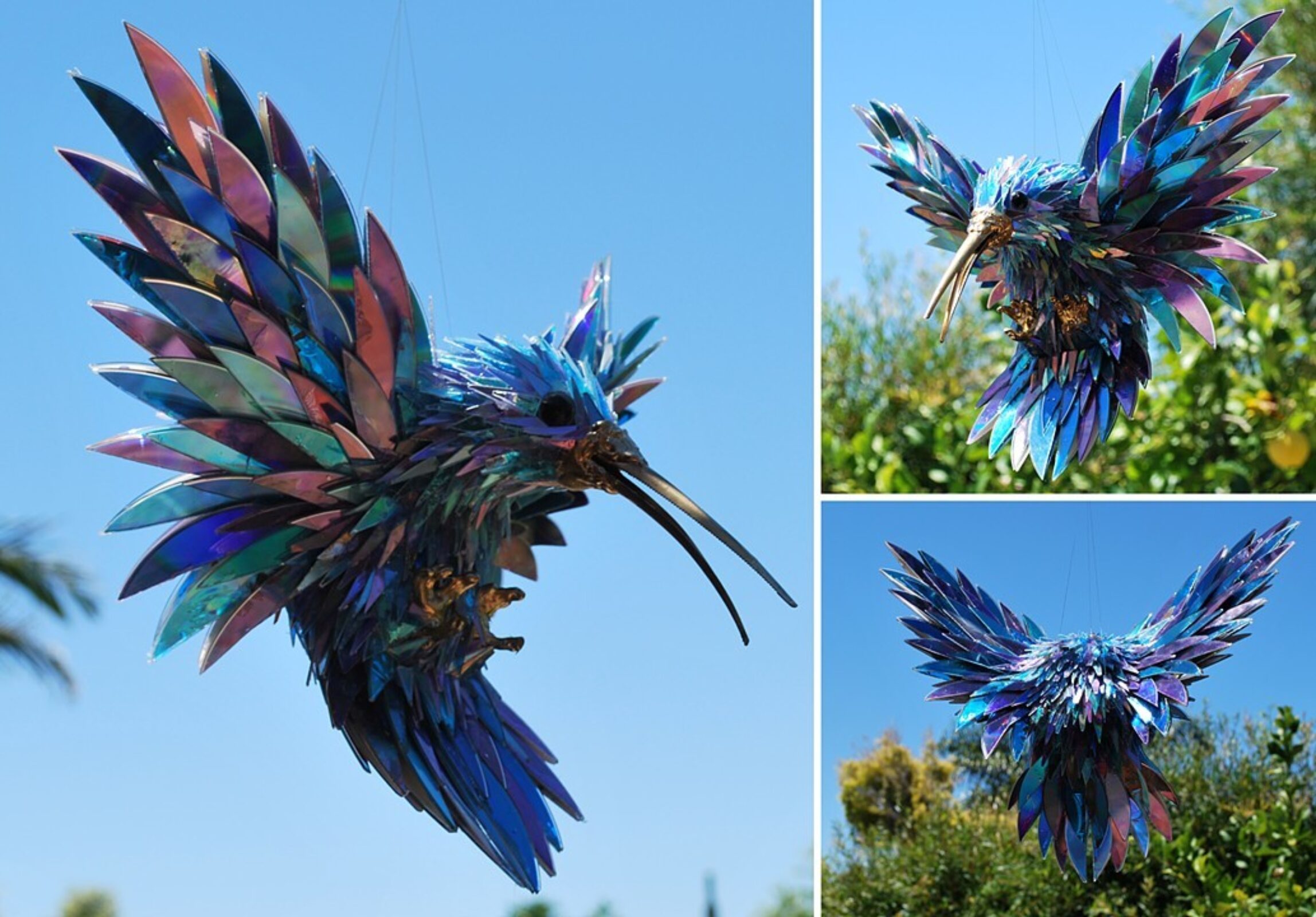 Humming Bird | Sean E Avery - Arch2O.com