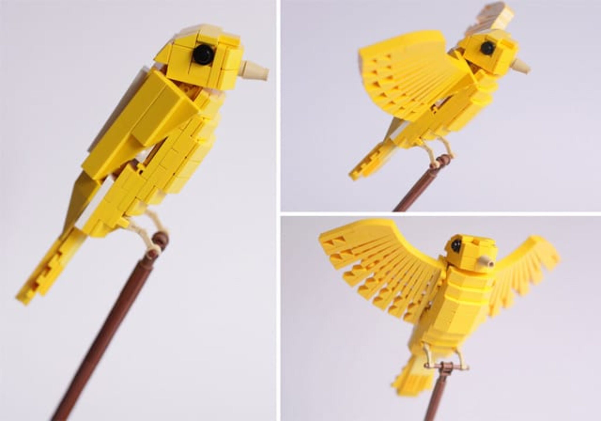 Ornithological Legos | Thomas Poulsom – Arch2O.com