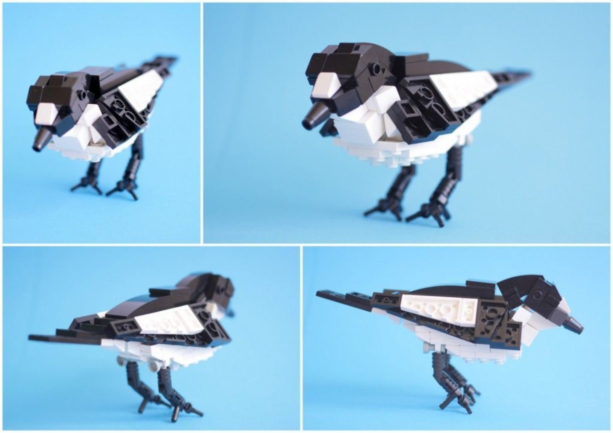 Ornithological Legos | Thomas Poulsom - Arch2O.com