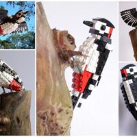 Ornithological Legos | Thomas Poulsom - Arch2O.com