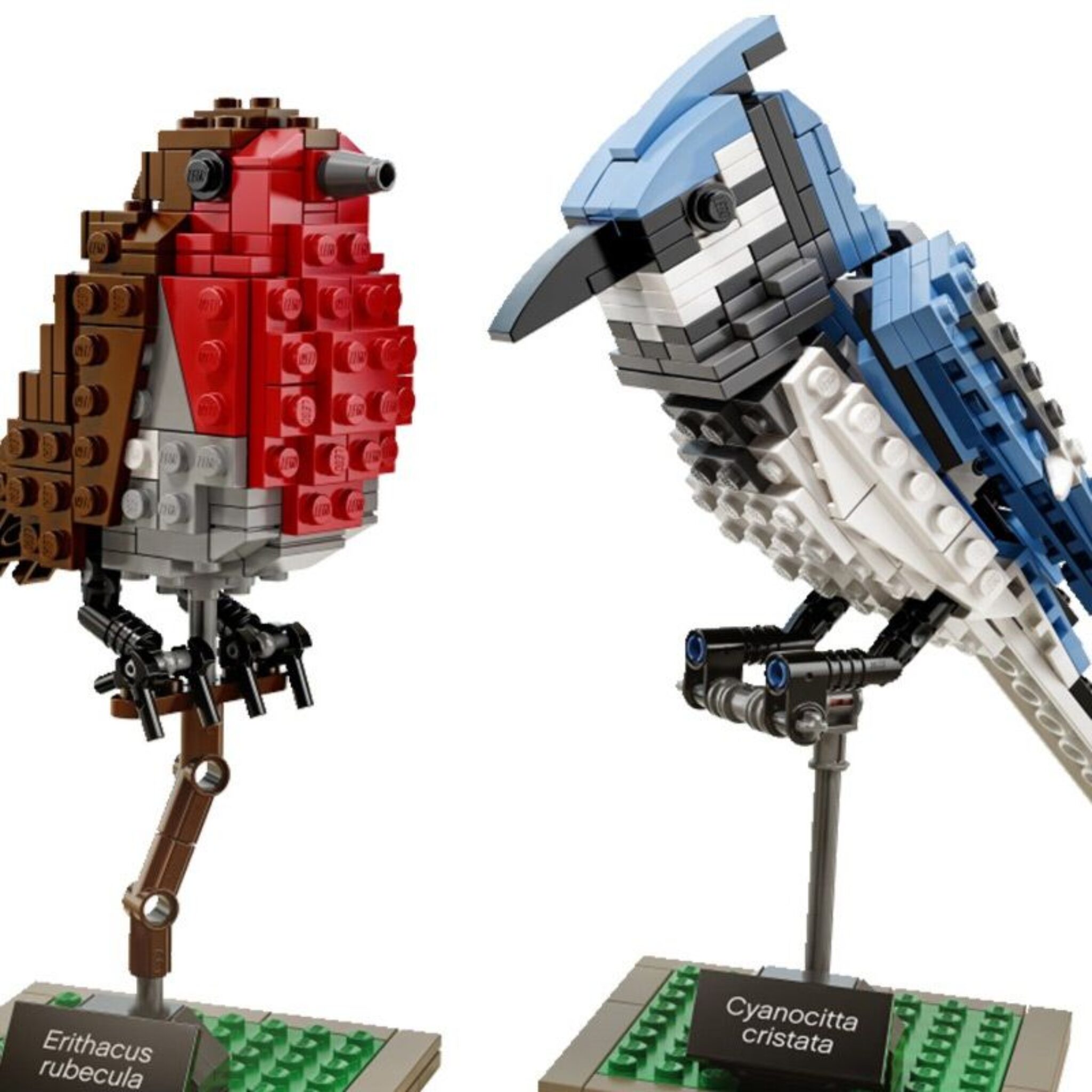Ornithological Legos | Thomas Poulsom - Arch2O.com