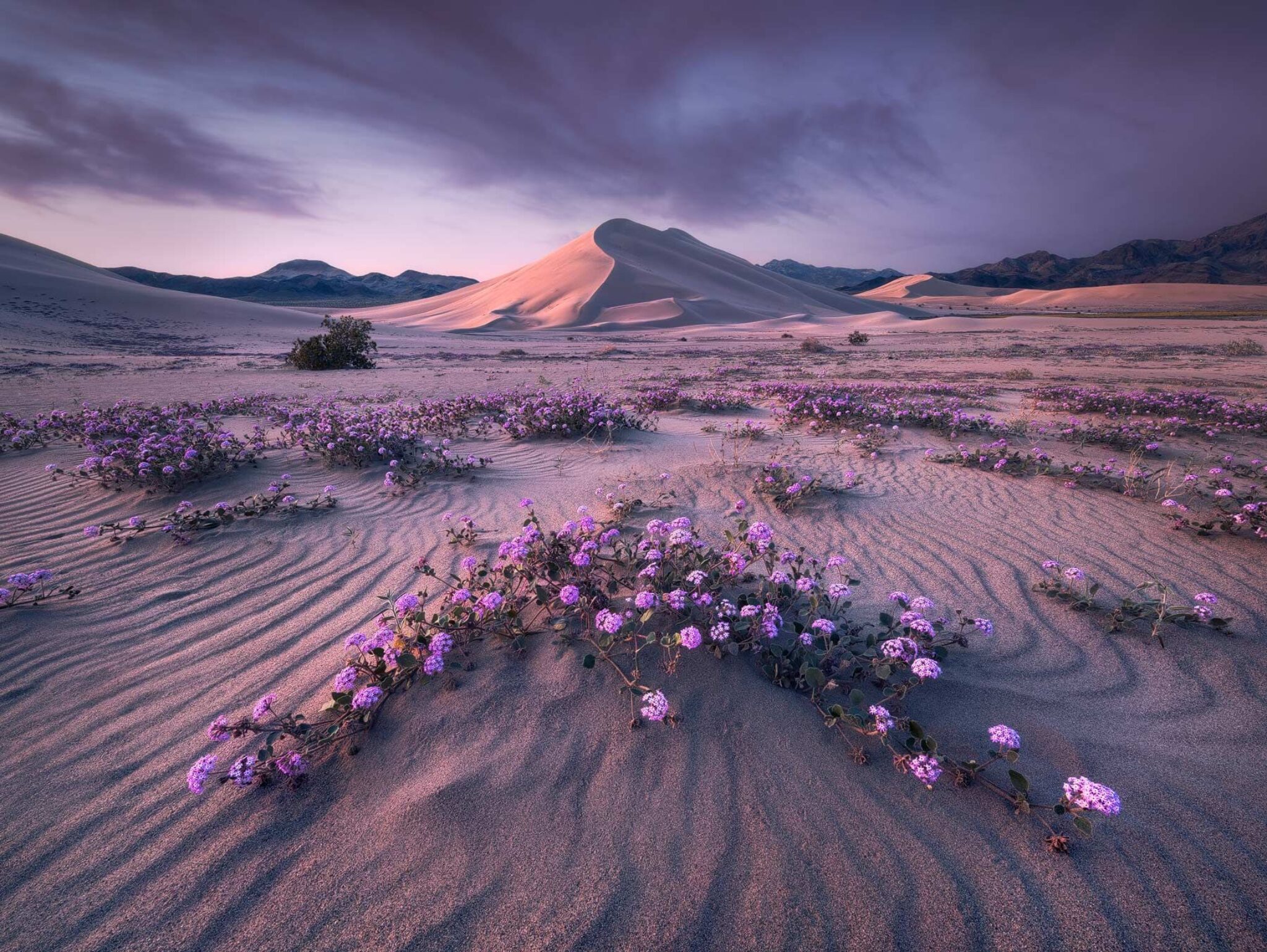 At the right time | Unknown photographers - Arch2O.com