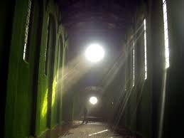 Growth at Dilston Grove | Heather Ackroyd & Dan Harvey with Graeme ...