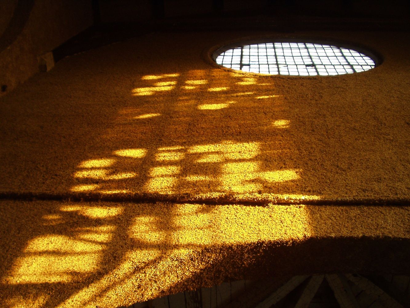 Growth at Dilston Grove | Heather Ackroyd & Dan Harvey with Graeme ...