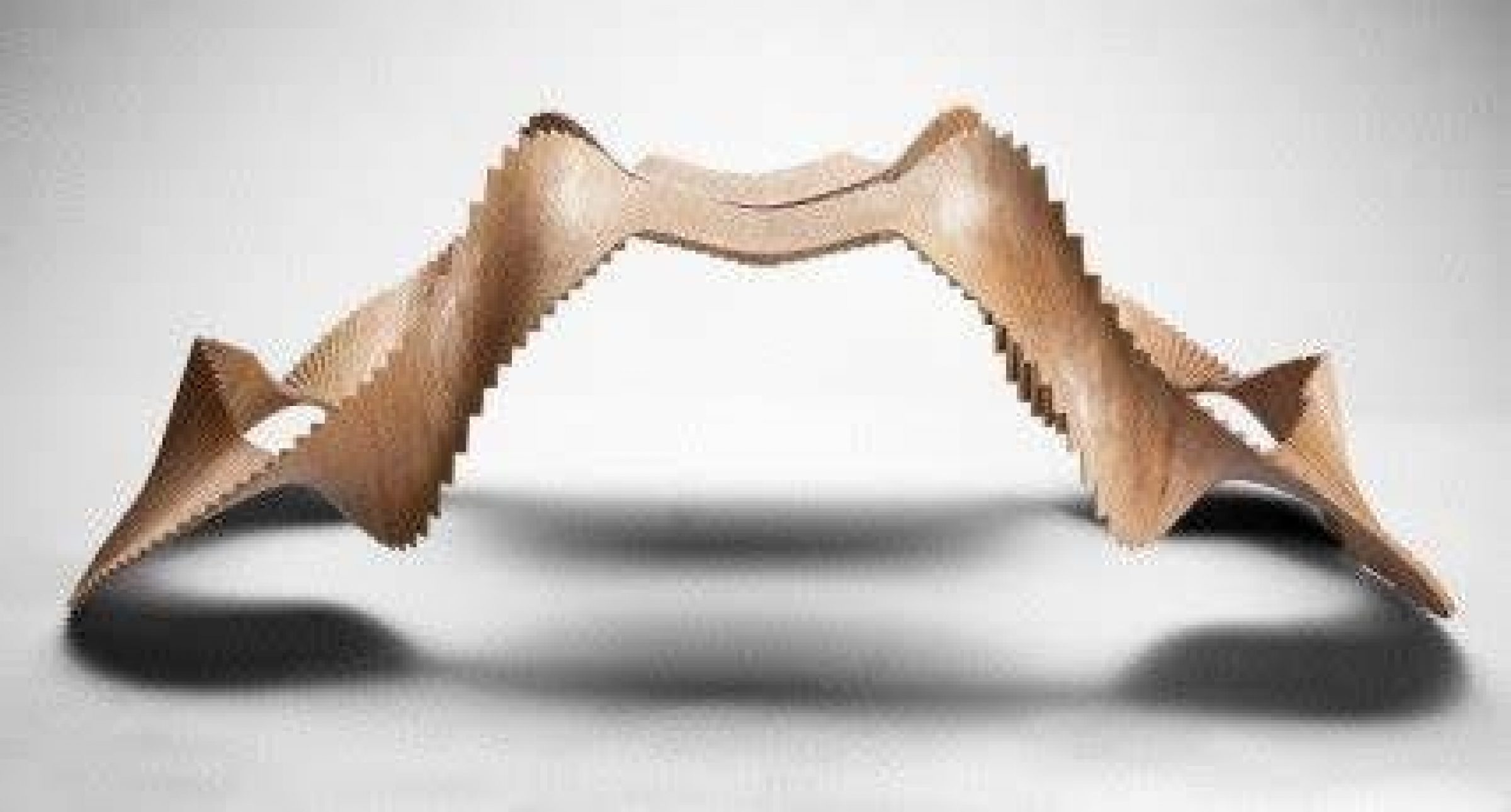 Inception Chair & Jaws | Vivian Chiu - Arch2O.com