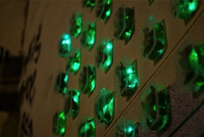 Light Interventions | Luzinterruptus - Arch2O.com