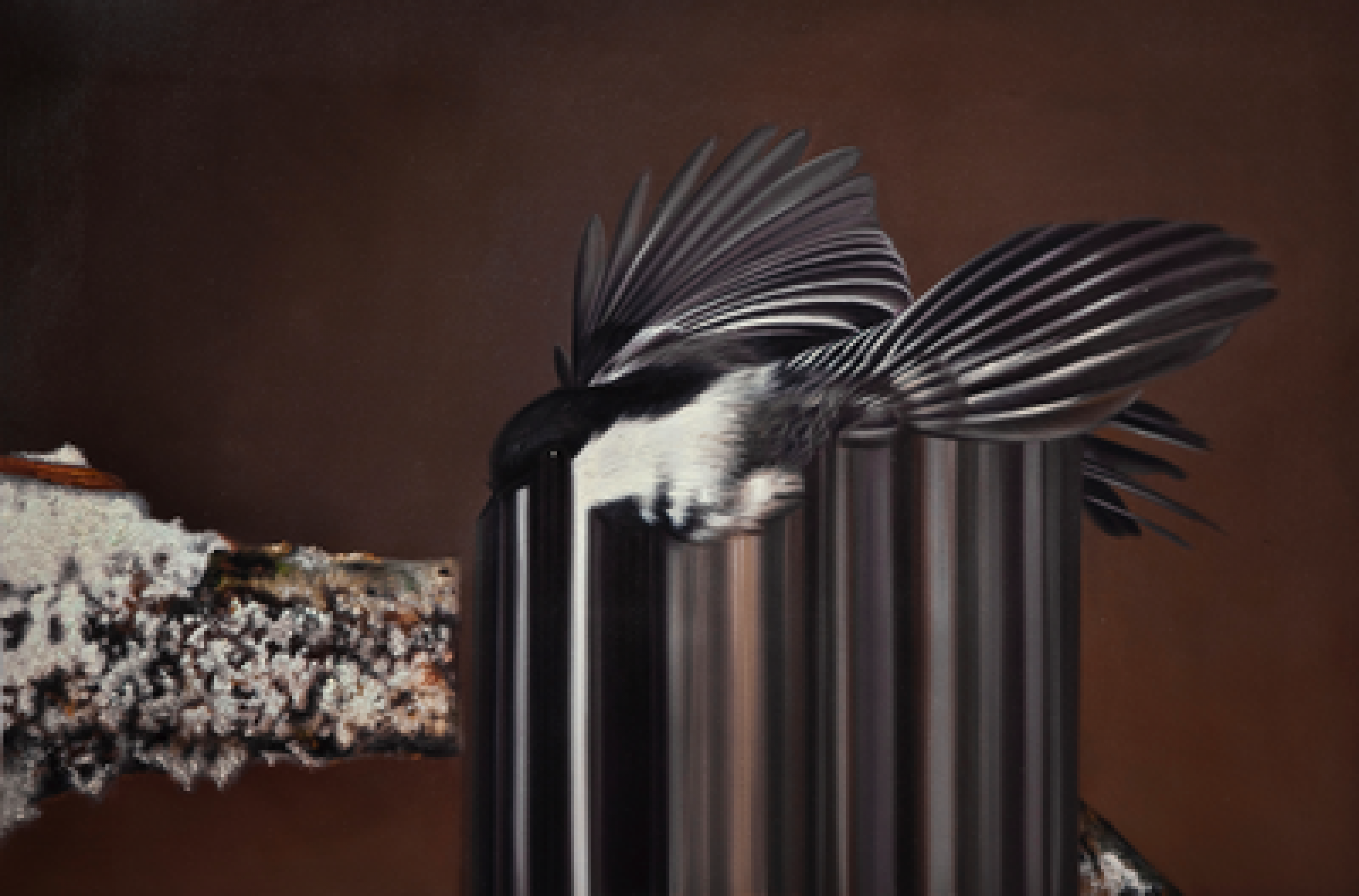Bird rib | Paintings by Maurizio Bongiovanni - Arch2O.com