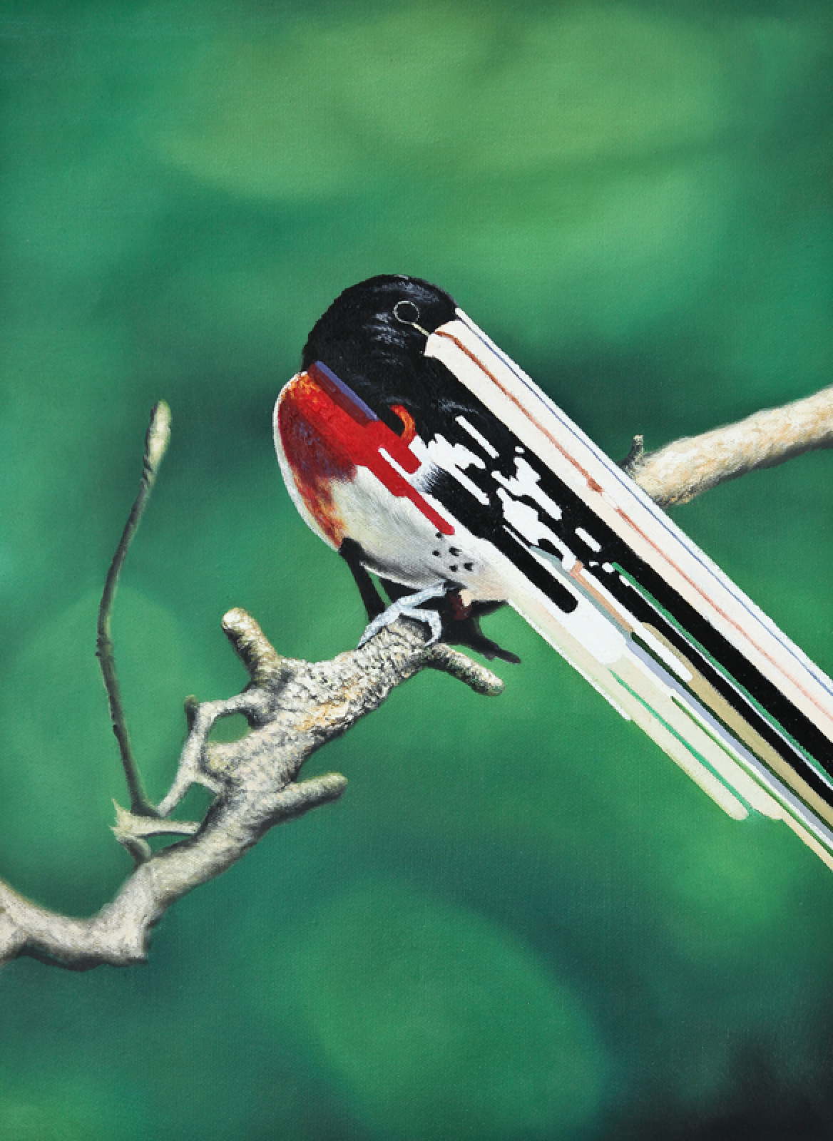 Bird rib | Paintings by Maurizio Bongiovanni - Arch2O.com