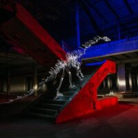 Light Painting | Darius Twin - Arch2O.com