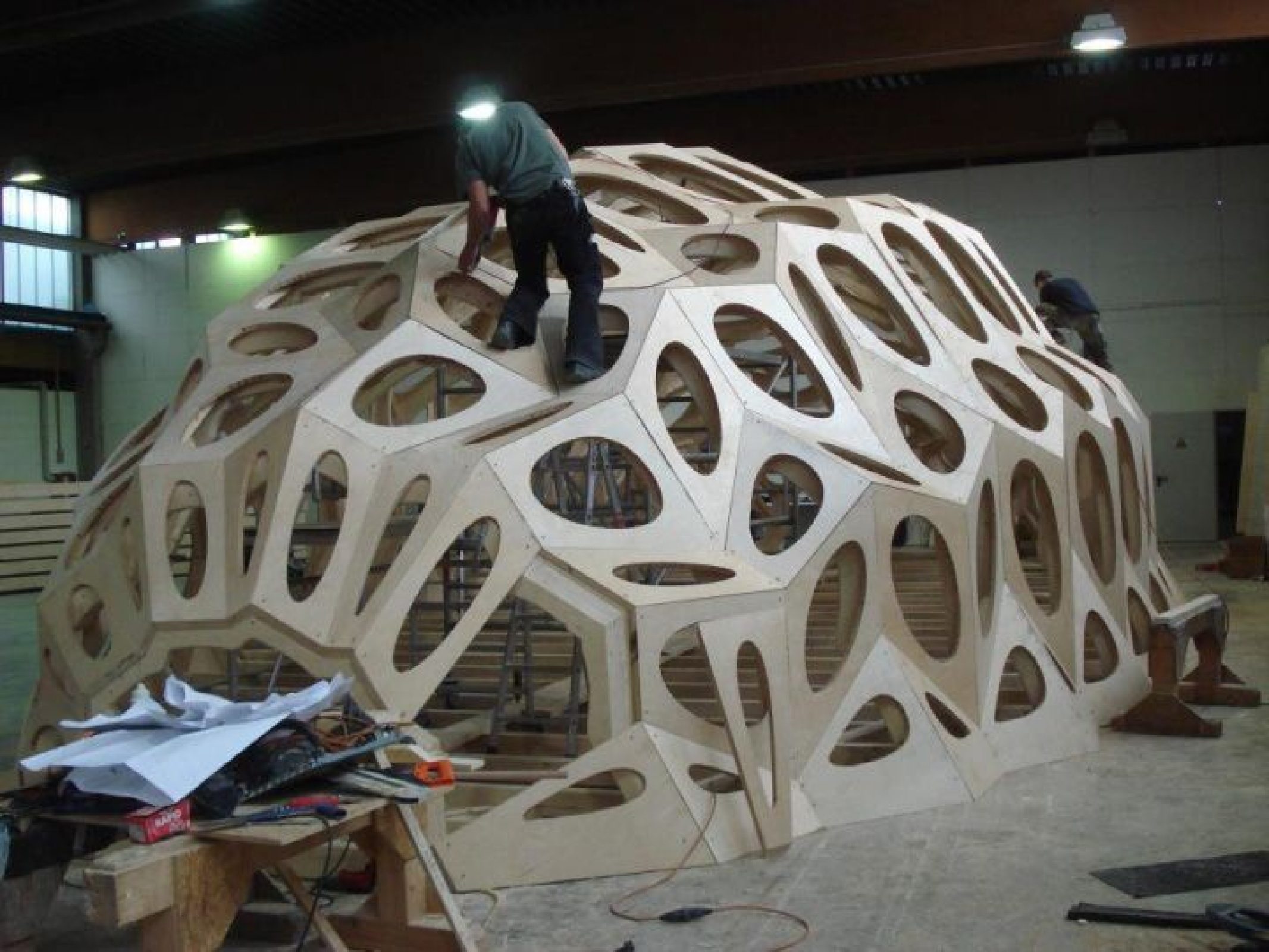 The Bowooss Bionic Inspired Research Pavilion | School of Architecture ...