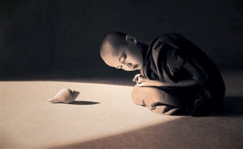 Nature Masterpieces | Gregory Colbert – Arch2O.com