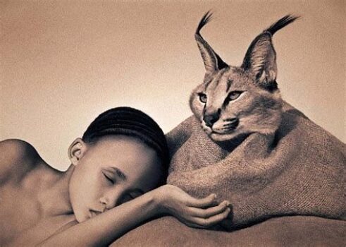 Nature Masterpieces | Gregory Colbert – Arch2O.com