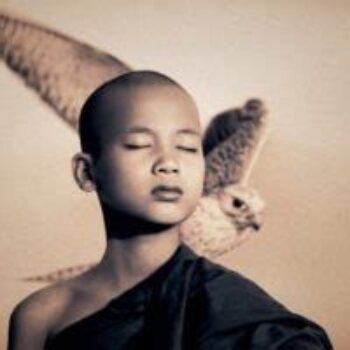 Nature Masterpieces | Gregory Colbert – Arch2O.com