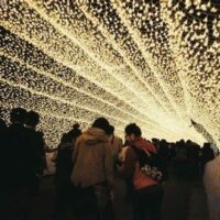 Festival of LED lights - Winter Illuminations - Arch2O.com