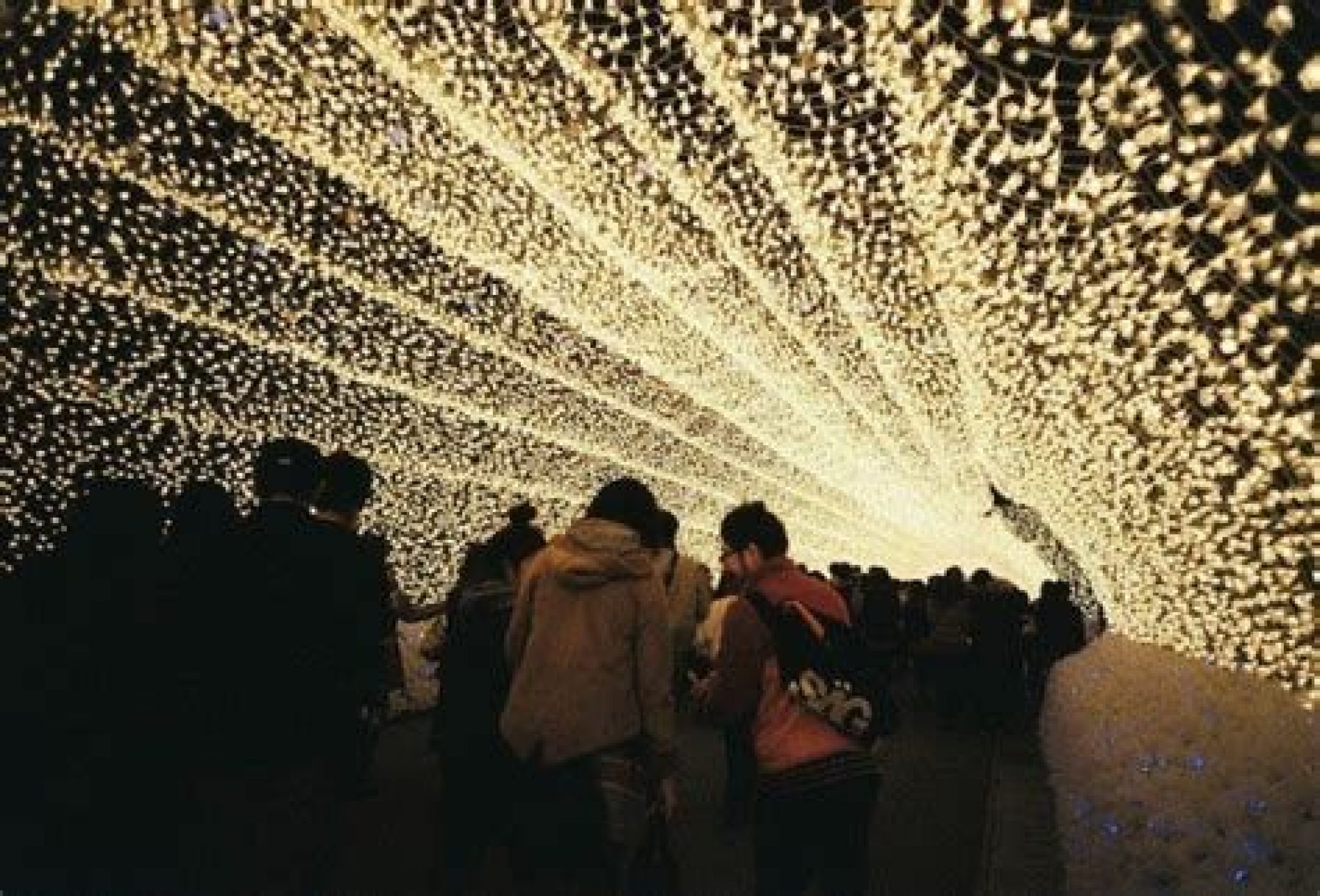Festival of LED lights - Winter Illuminations - Arch2O.com
