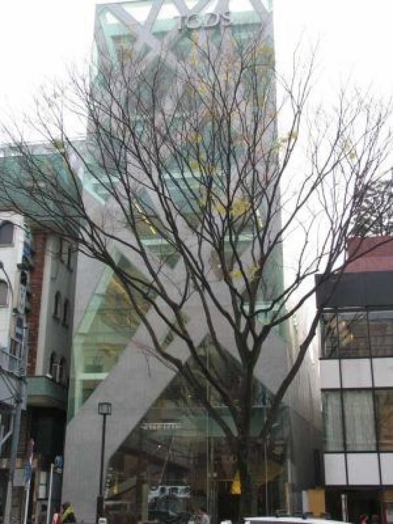 TOD'S Omotesando Building | Toyo Ito - Arch2O.com