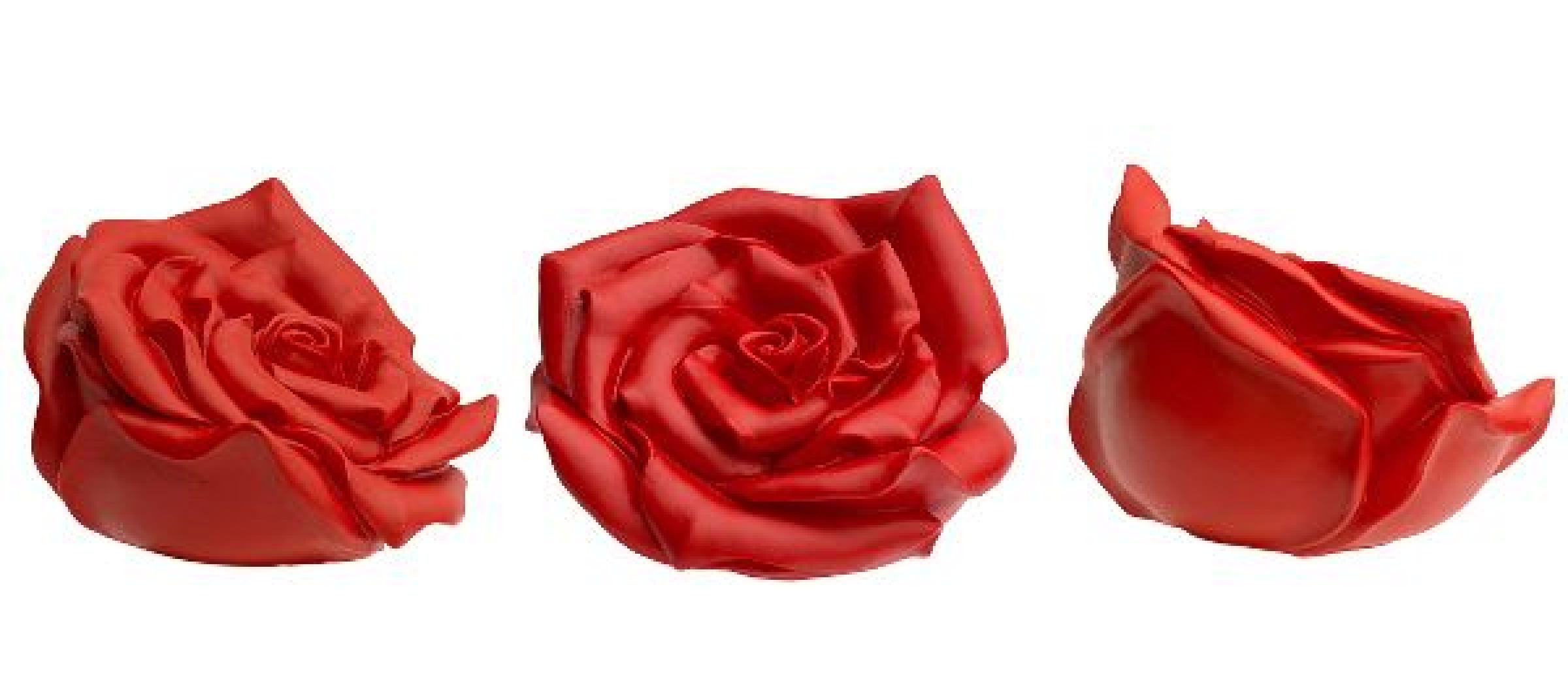1,000 Roses for Zweibrücken | Ottmar Hörl - Arch2O.com