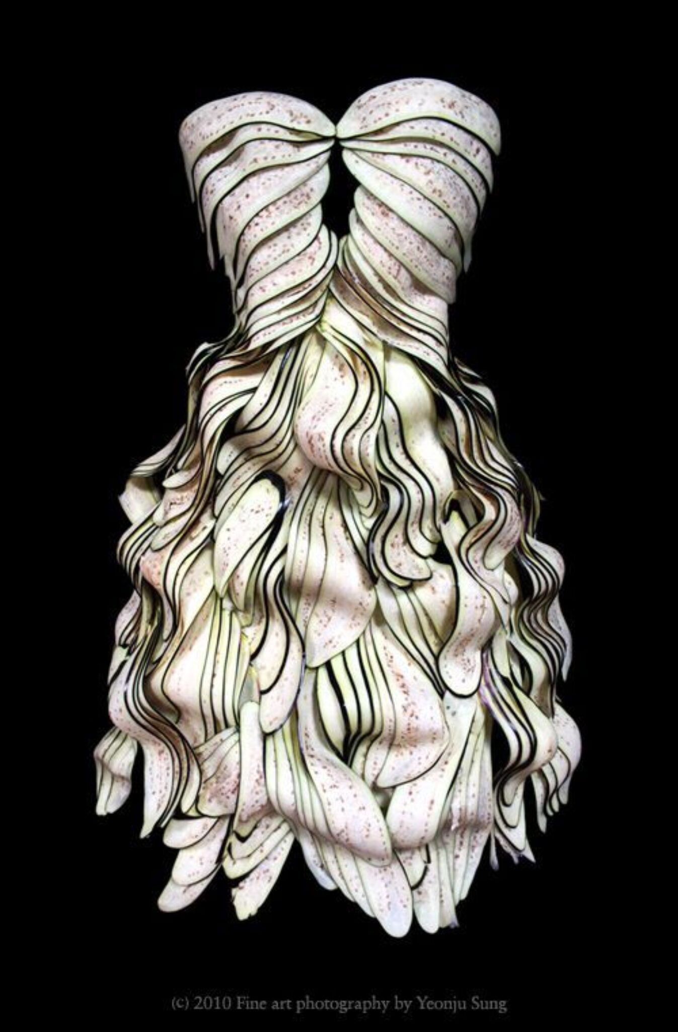 Wearable Foods | Sung Yeon Ju - Arch2O.com