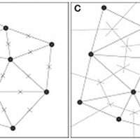 Shapes of Parametric Design - Arch2O.com