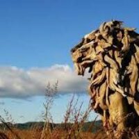 Driftwood Sculptures 2 | Jeff Uitto - Arch2O.com