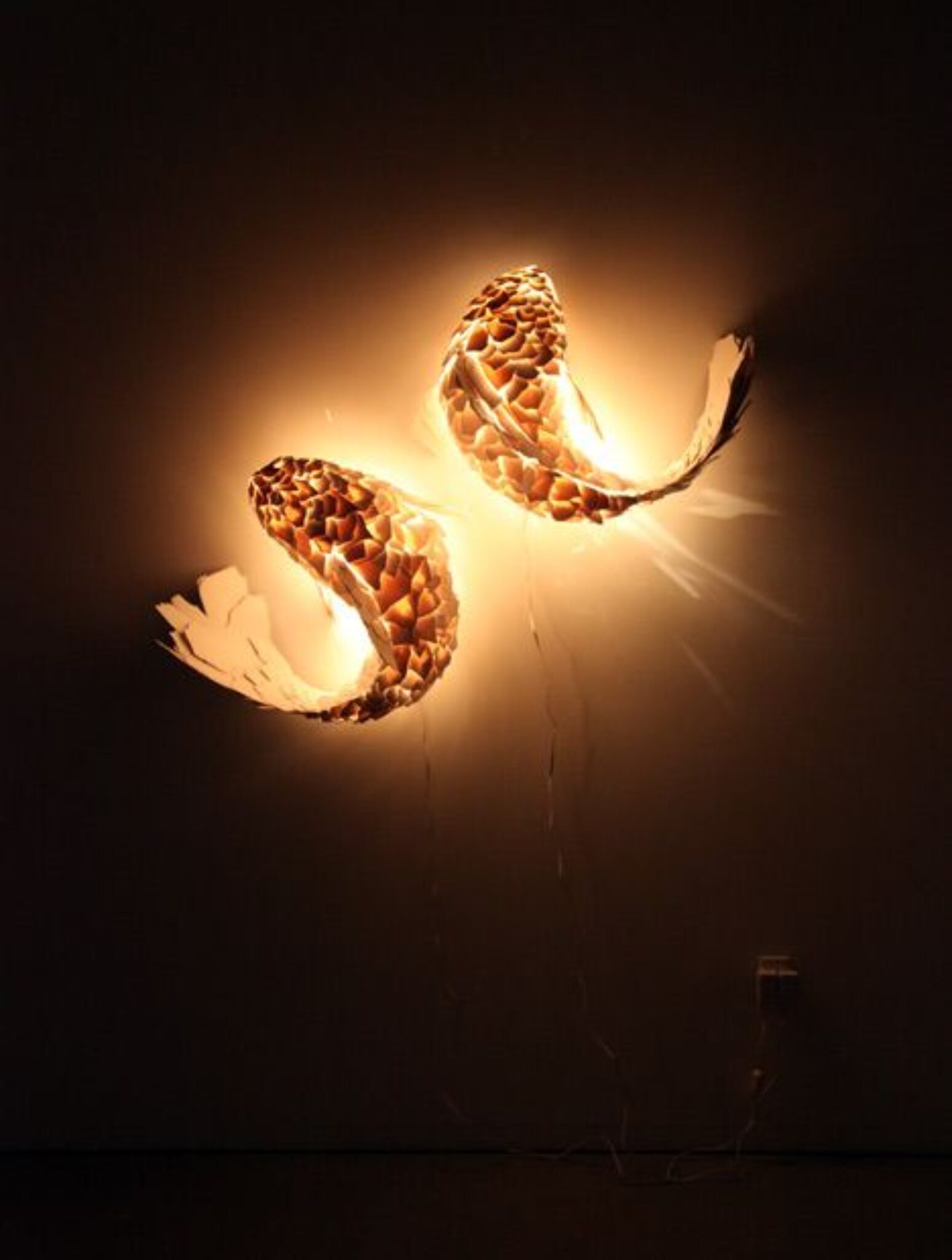 Fish Lamps | Frank Gehry - Arch2O.com