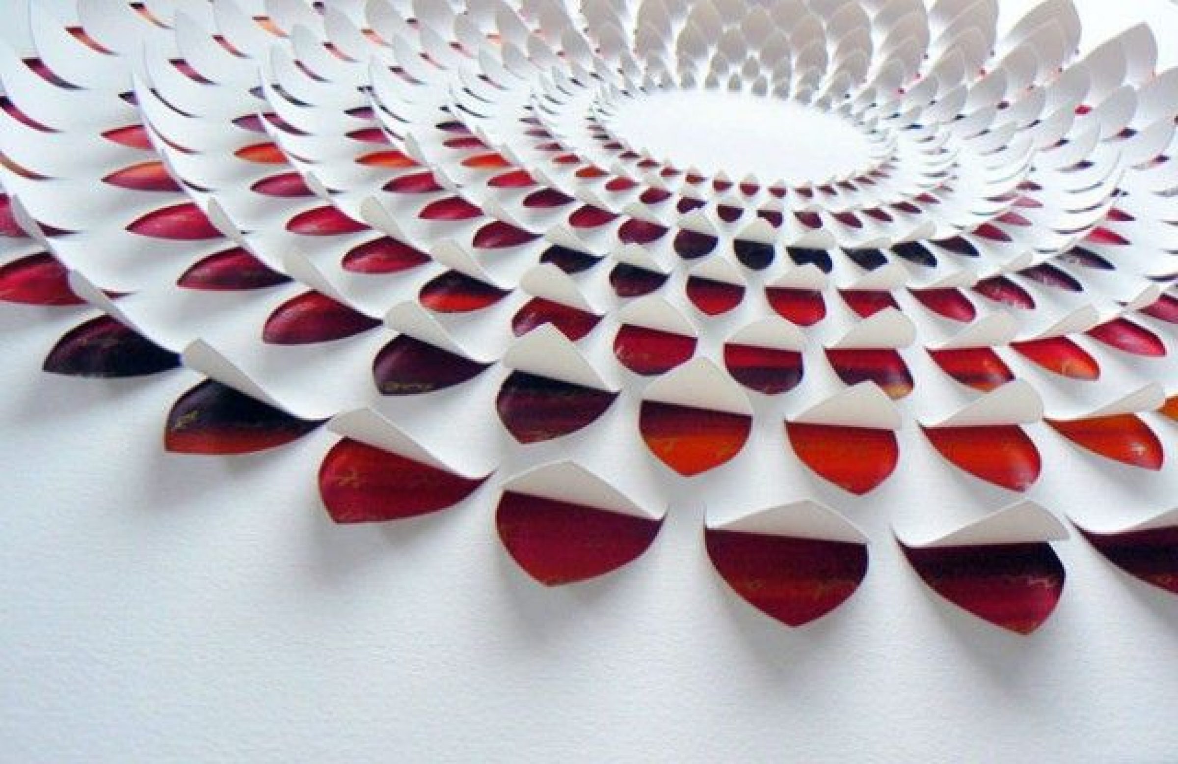 Hand Cut Paper Art | Lisa Rodden - Arch2O.com
