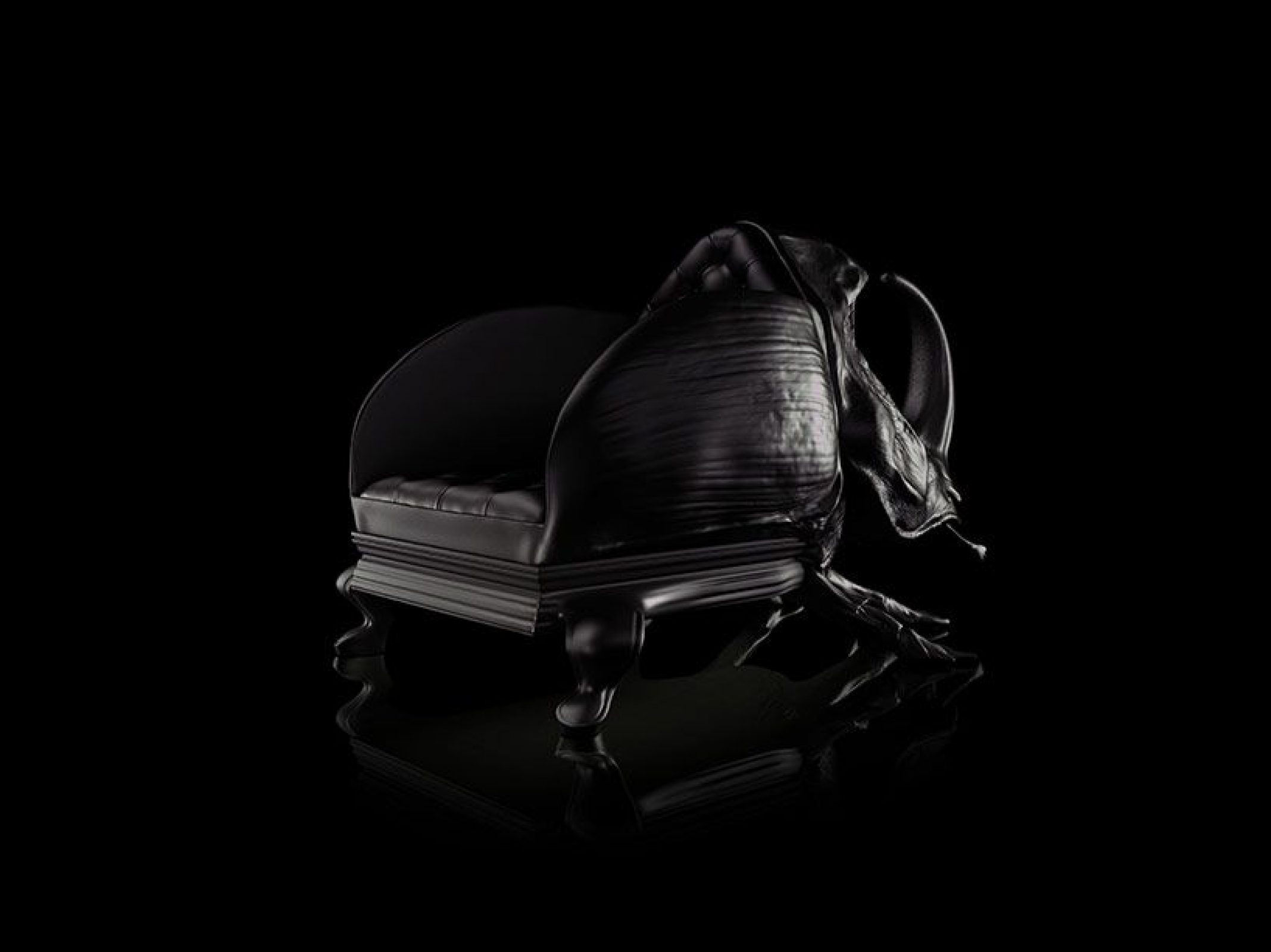 Limited Edition Beetle Chair | Maximo Riera - Arch2O.com