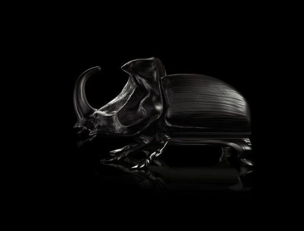 Limited Edition Beetle Chair | Maximo Riera - Arch2O.com