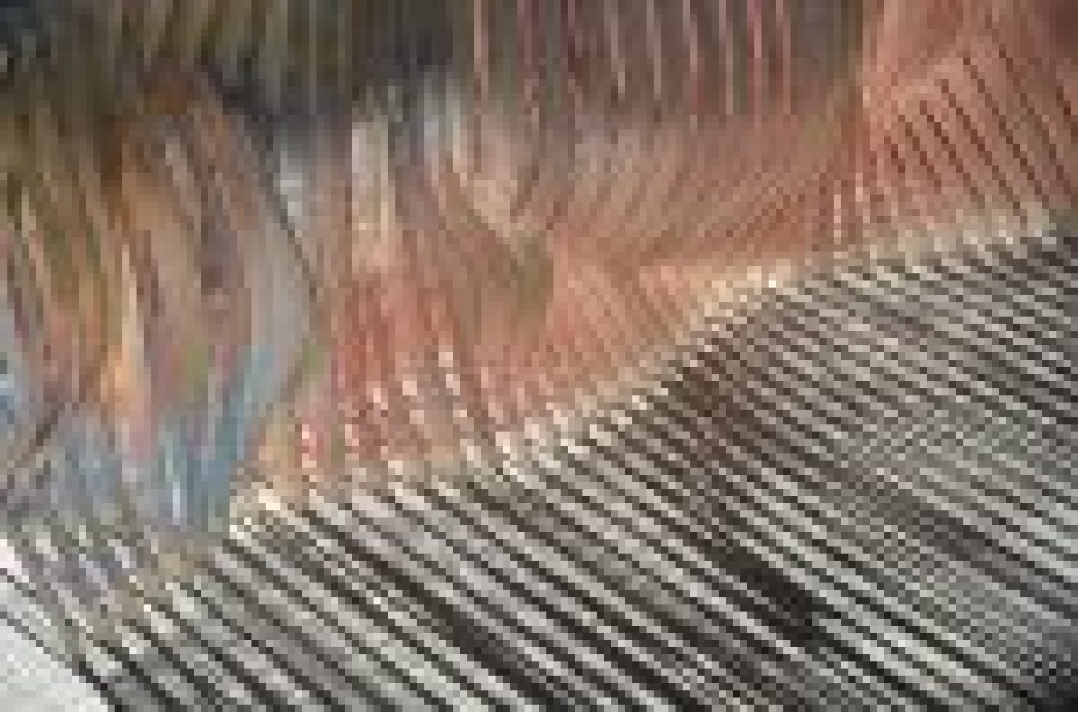 Centennial Chromograph - Minnesota School of Architecture | Adam Marcus ...