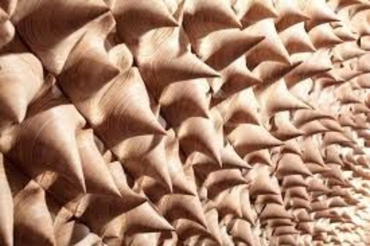 Wood-Wall Work | Cha Jong-Rye - Arch2O.com