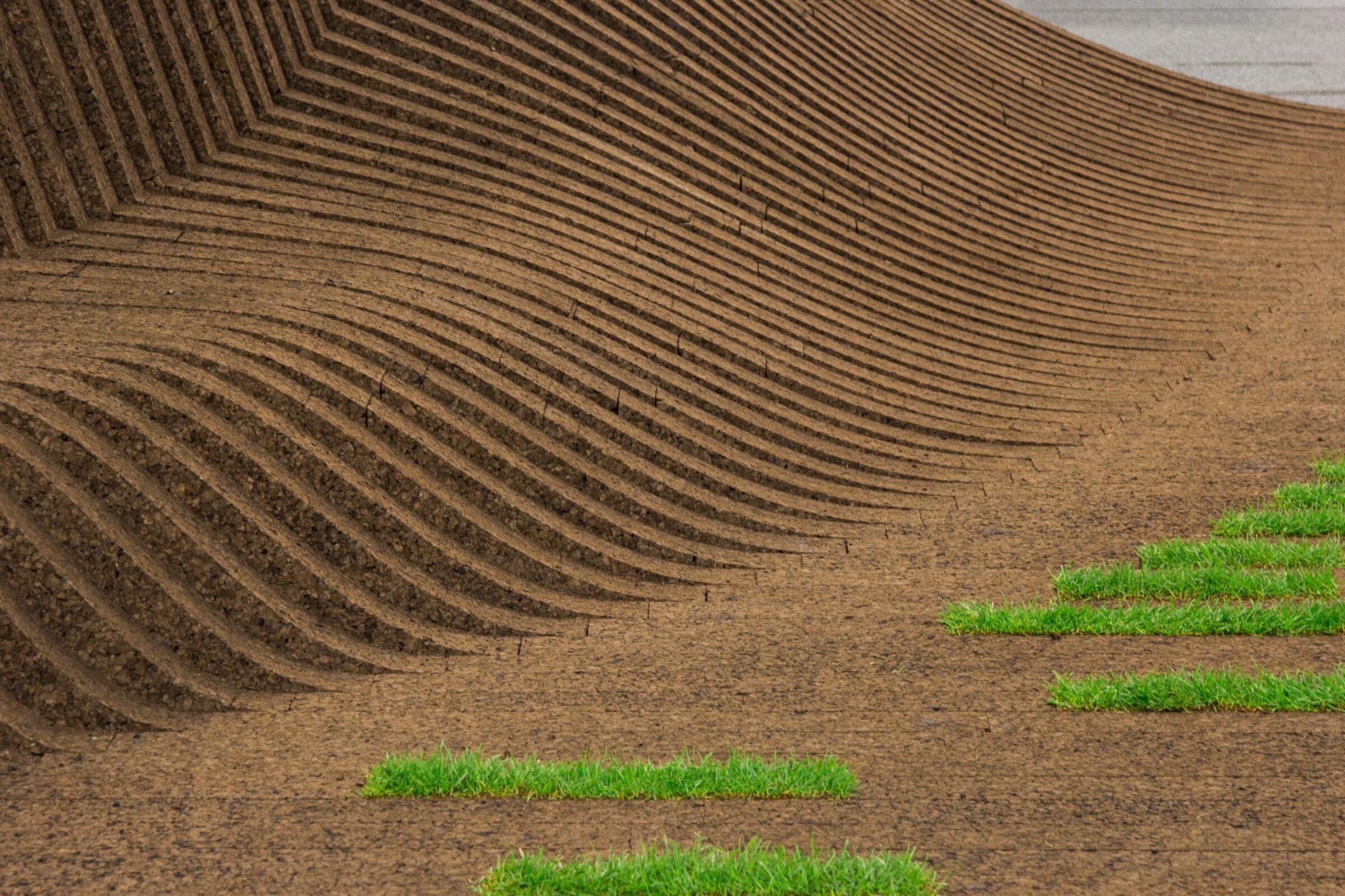 Corked Pavilion |Pedro de Azambuja Varela, Maria João de Oliveira ...