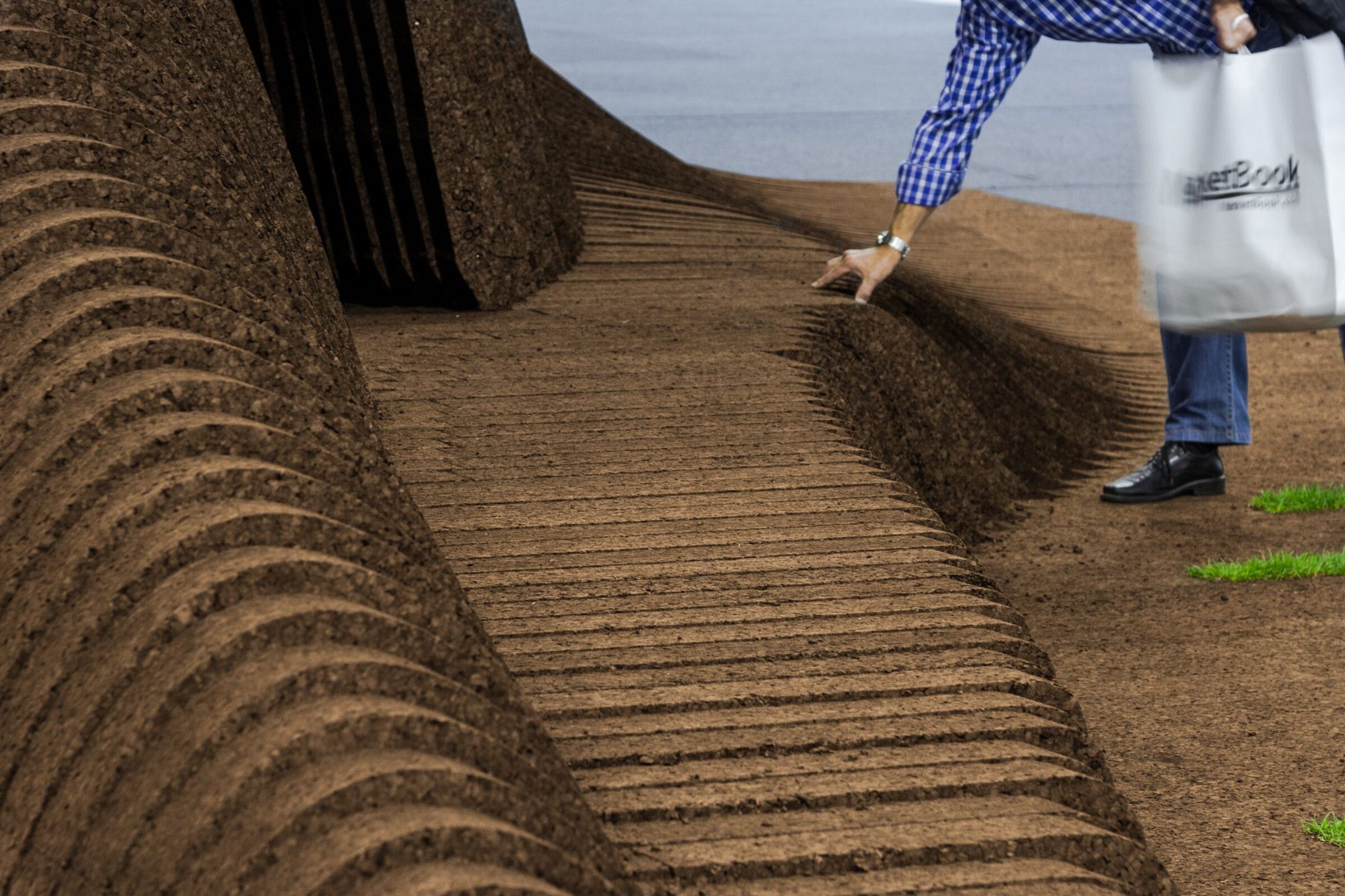 Corked Pavilion |Pedro de Azambuja Varela, Maria João de Oliveira ...