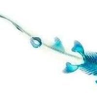 Snow White Fish | Adam Summers - Arch2O.com