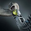 Bionic arm | Festo - Arch2O.com