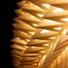 Diploid Lamp Series by Andrew Kudless | Andrew Kudless - Arch2O.com
