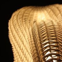 Diploid Lamp Series by Andrew Kudless | Andrew Kudless - Arch2O.com