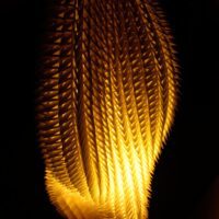 Diploid Lamp Series by Andrew Kudless | Andrew Kudless - Arch2O.com
