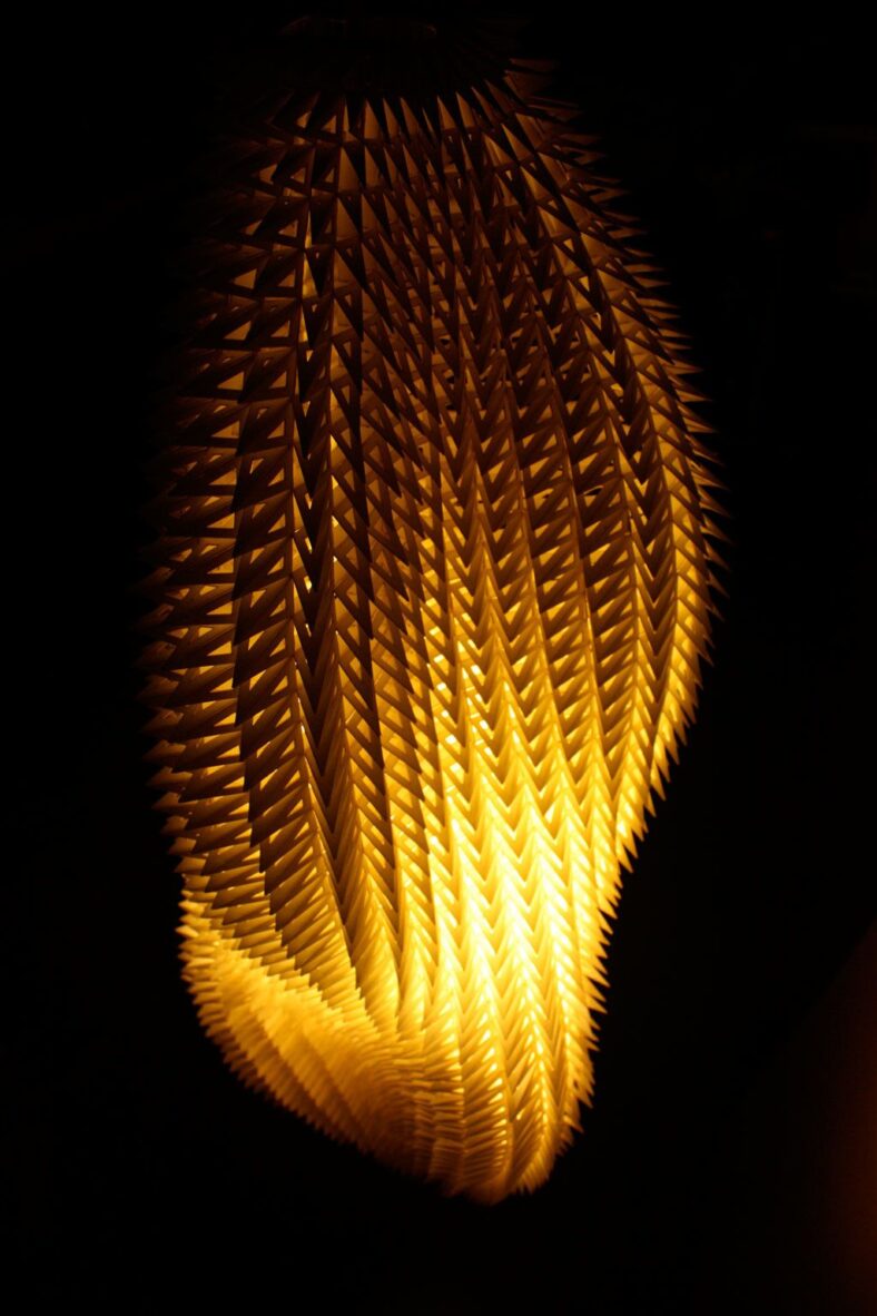 Diploid Lamp Series by Andrew Kudless | Andrew Kudless - Arch2O.com