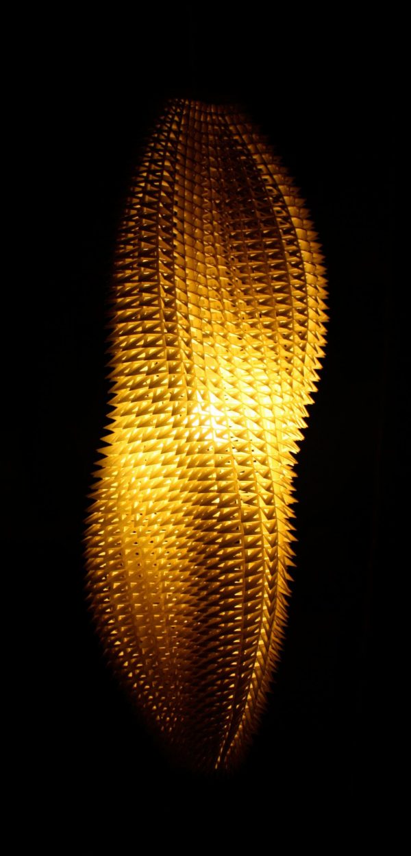 Diploid Lamp Series by Andrew Kudless | Andrew Kudless - Arch2O.com