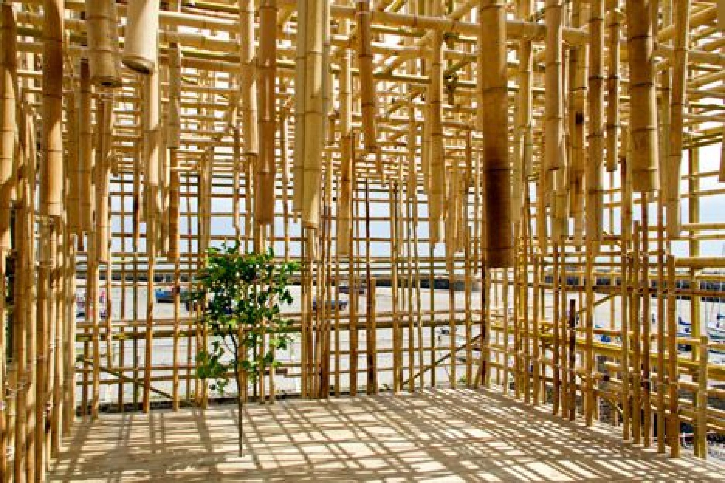 Bamboo Lattice | Gabriel Lester - Arch2O.com
