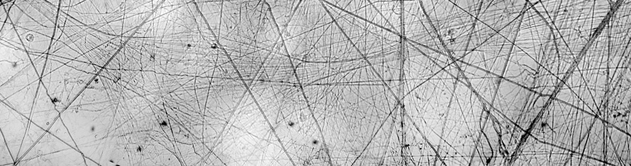 ICD/ITKE Research Pavilion 2014 | ICD Institute for Computational ...