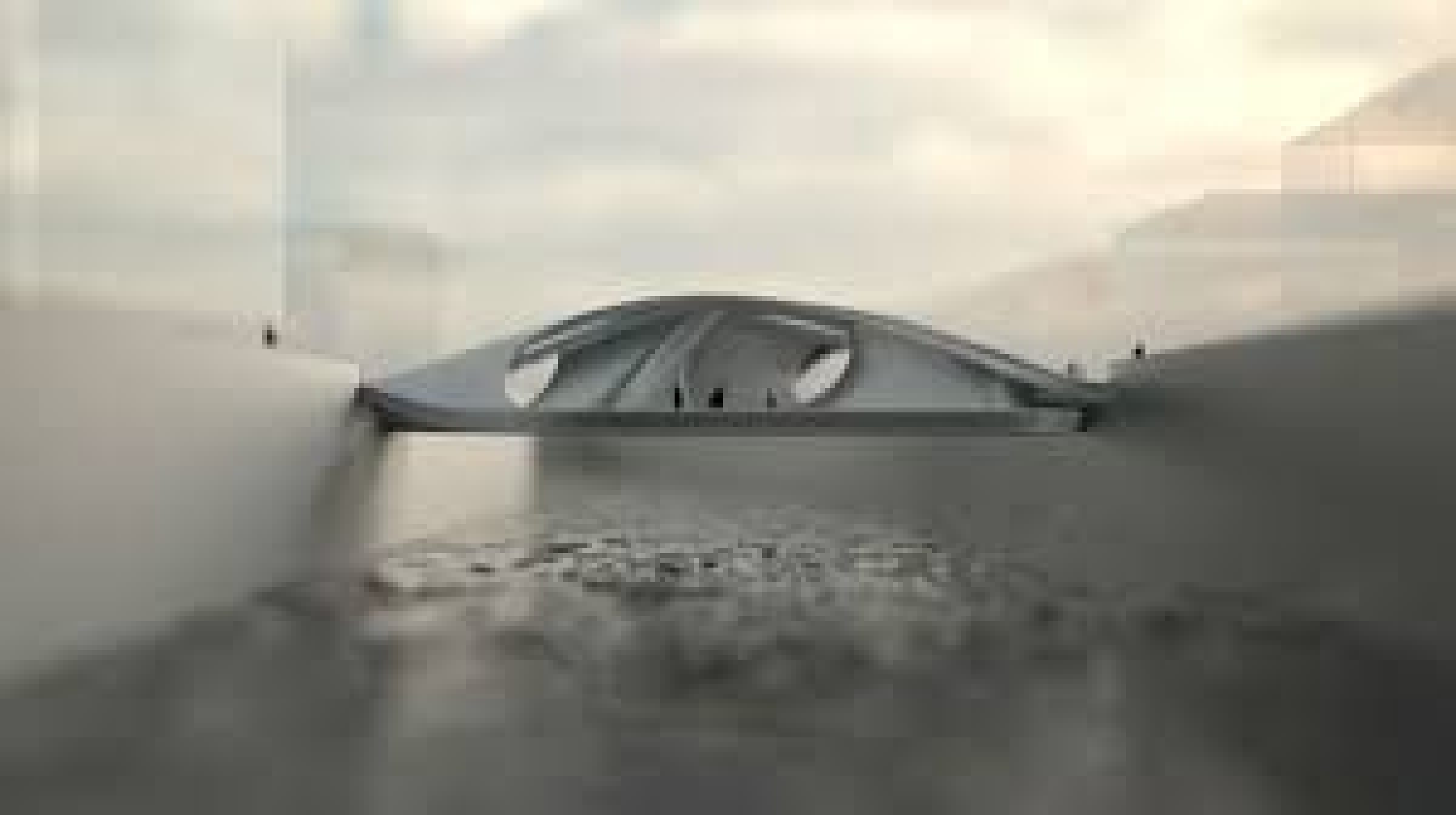Oenothera Bridge | Marius Cernica - Arch2O.com