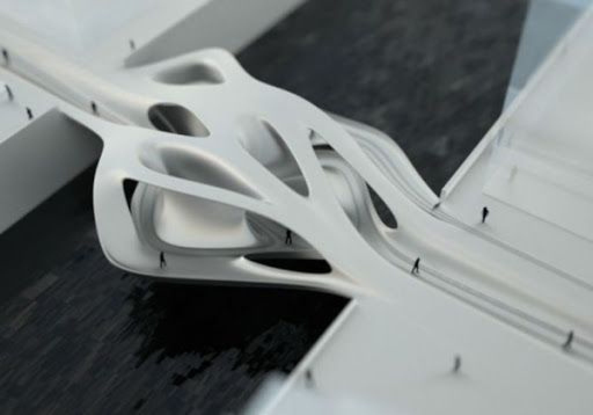 Oenothera Bridge | Marius Cernica - Arch2O.com